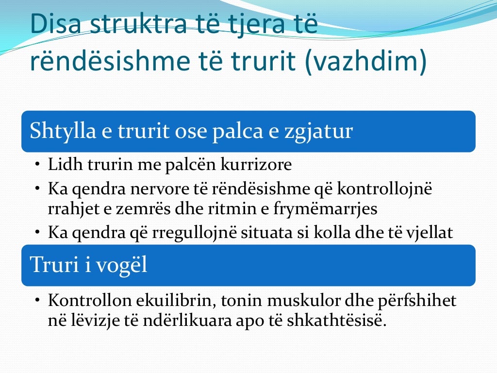 Truri i njeriut ne teresi