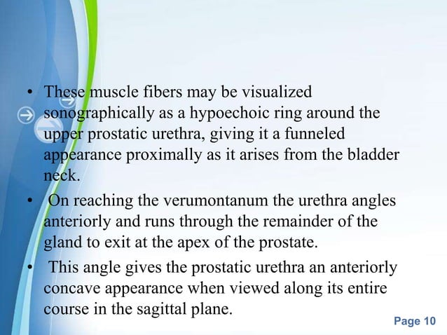 Trus biopsy prostate | PPTX | Medical Tests | Medical Health