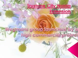 Trustone city ppt | PPTX