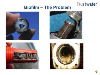 Biofilm removal from dental chair waterlines using non-toxic ...