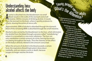 Truth about-alcohol-booklet-en | PDF