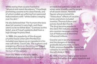Truth about-cocaine-booklet-en | PDF