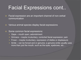 Truth or consequences | PPTX