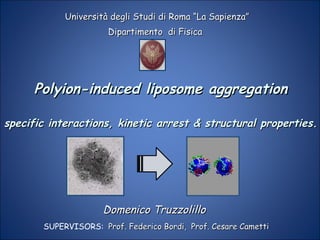 Polyion-induced liposome aggregation : specific interactions, kinetic ...