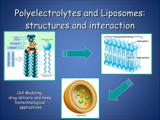 Polyion-induced liposome aggregation : specific interactions, kinetic ...
