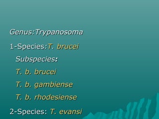 Trypanosoma | PPT