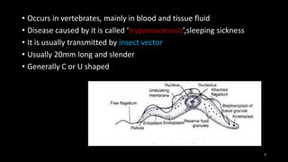 Trypanosoma | PDF