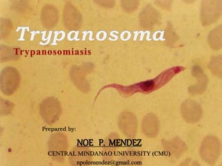 Trypanosoma Microscope Slide