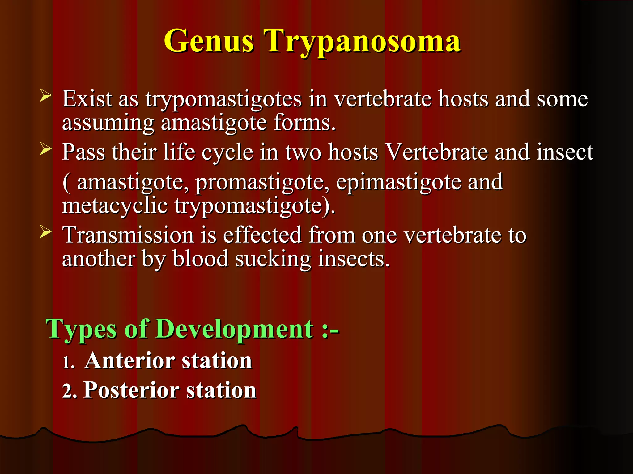 Trypanosoma | PPT