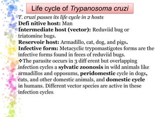 trypanosoma-171119074846.pdf