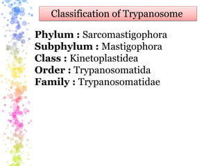 trypanosoma-171119074846.pdf