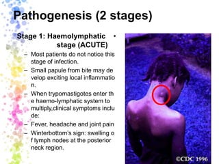 trypanosoma-171119074846.pdf