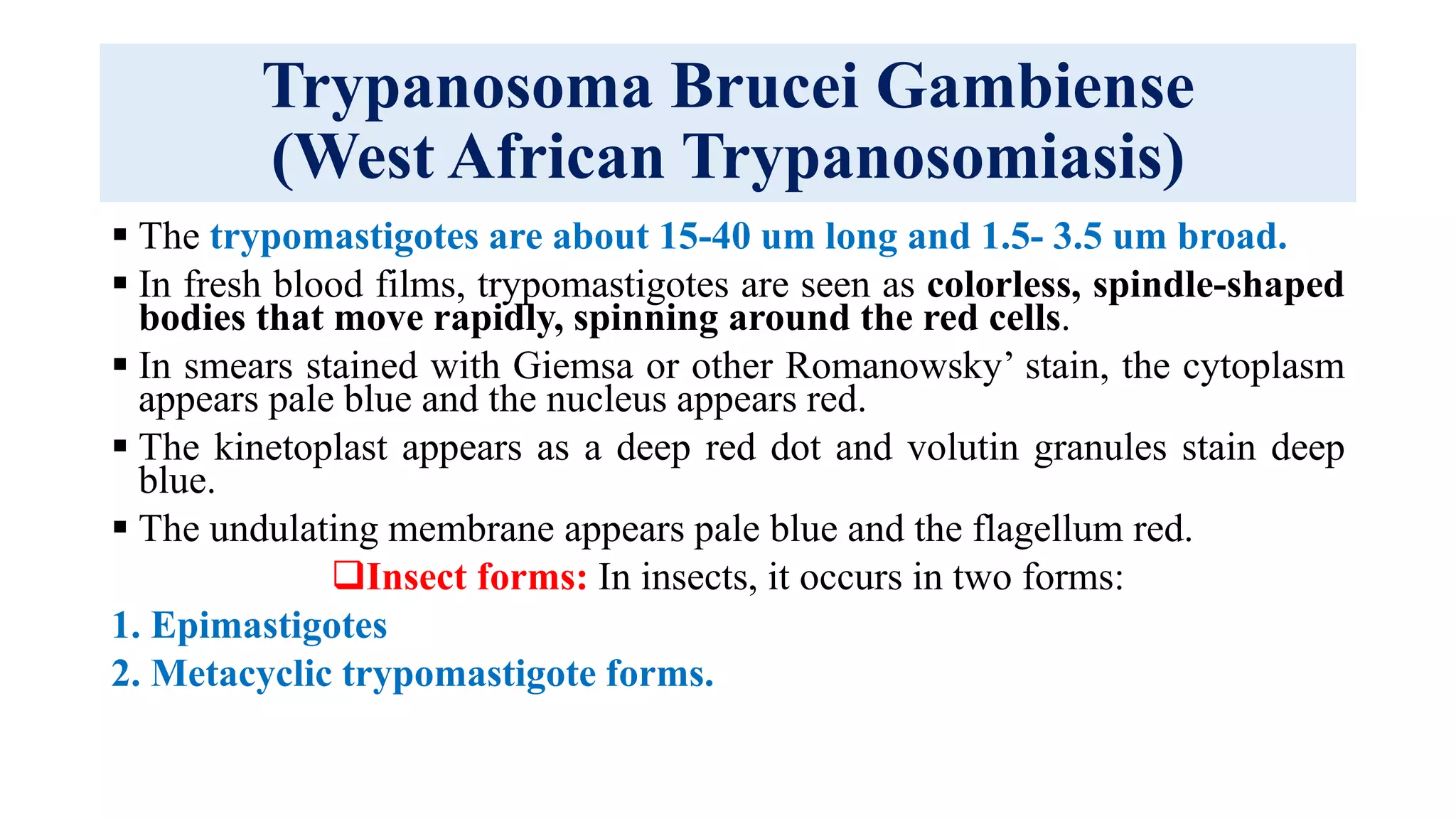 Trypanosoma | PPTX