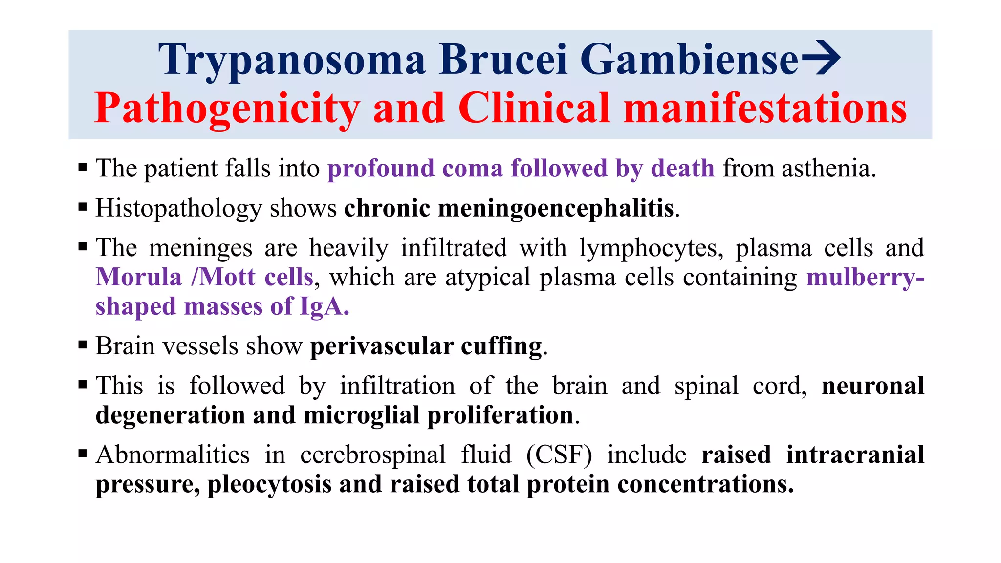 Trypanosoma | PPTX