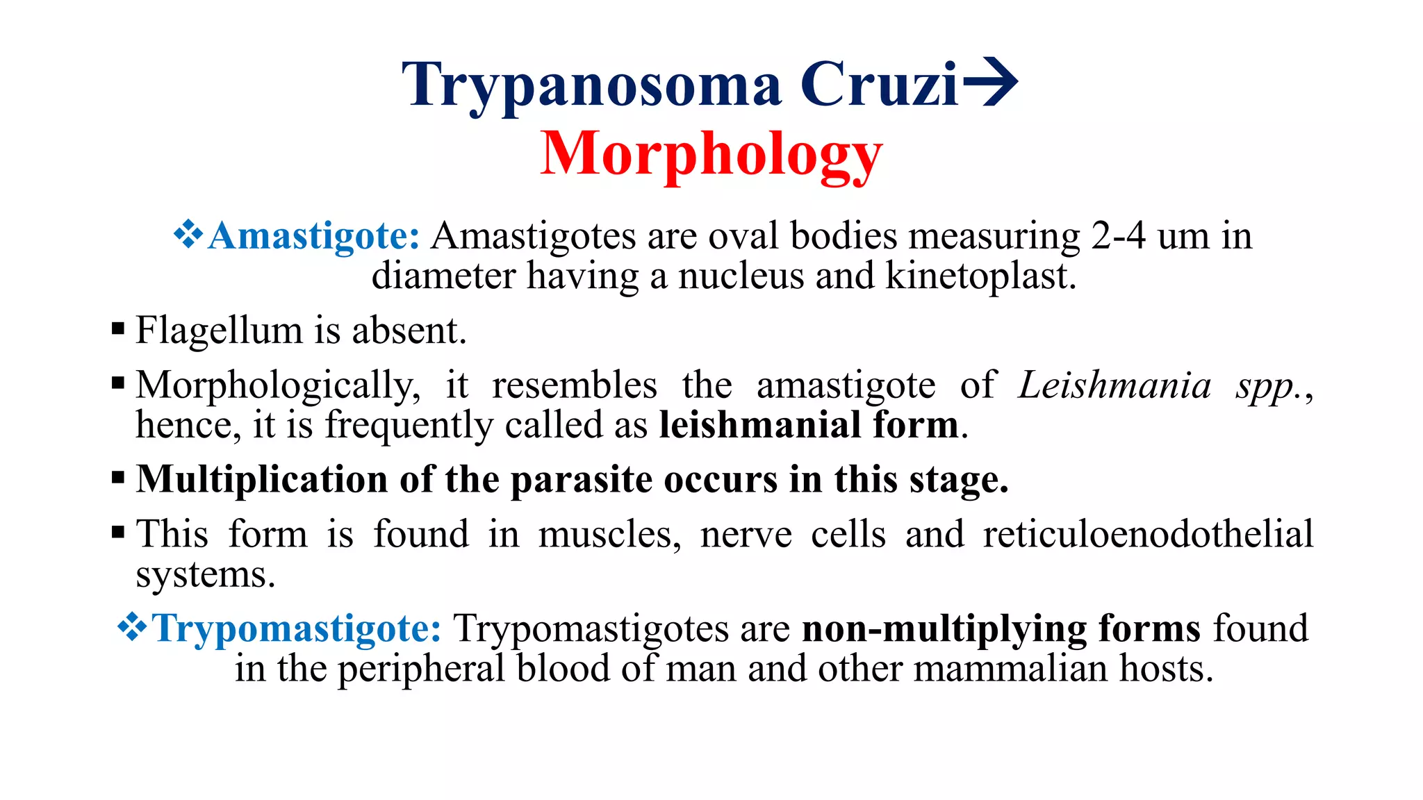 Trypanosoma | PPTX