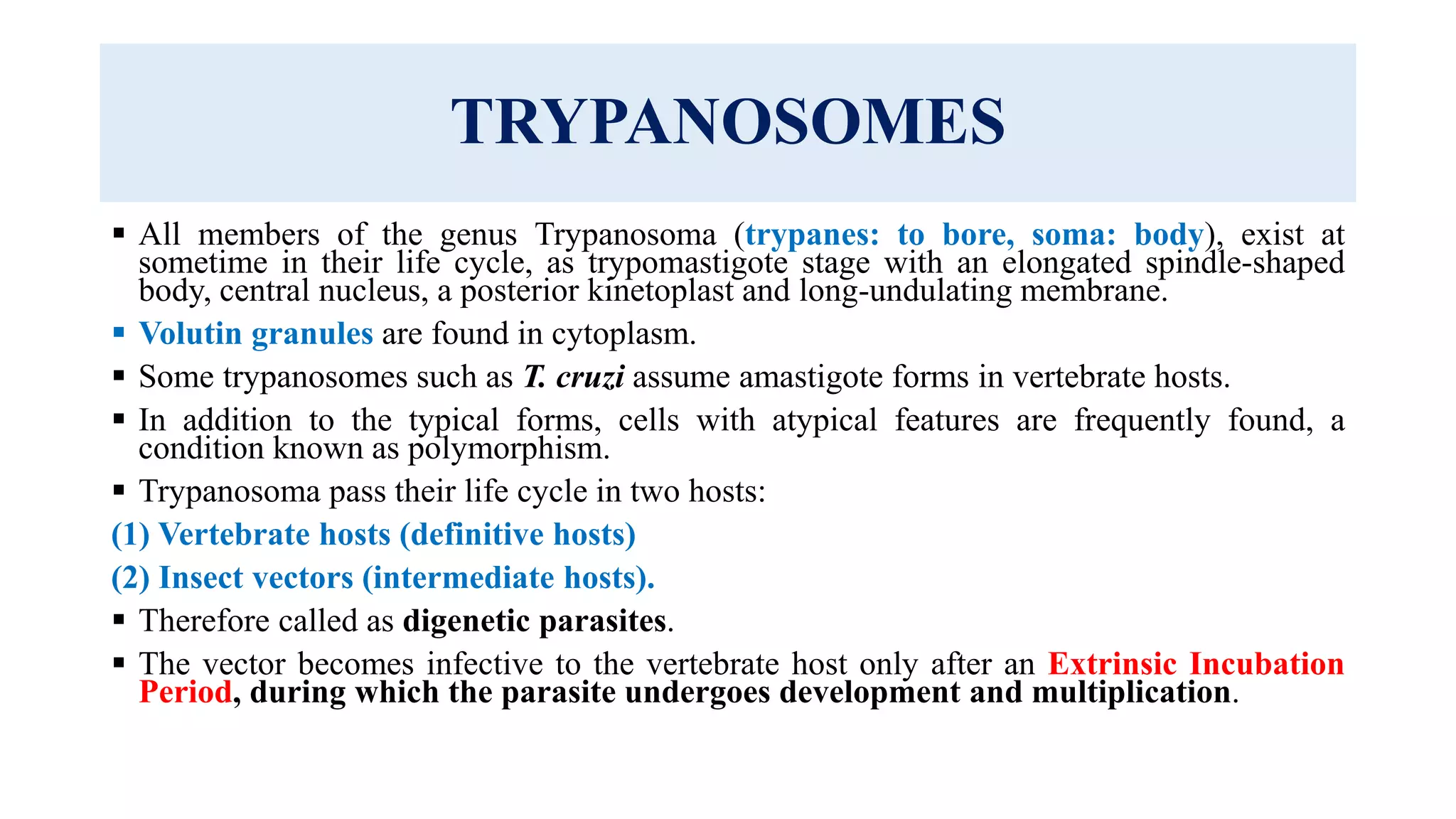 Trypanosoma | PPTX