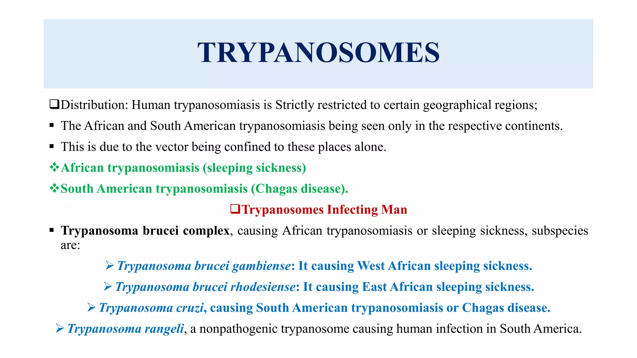 Trypanosoma | PPTX