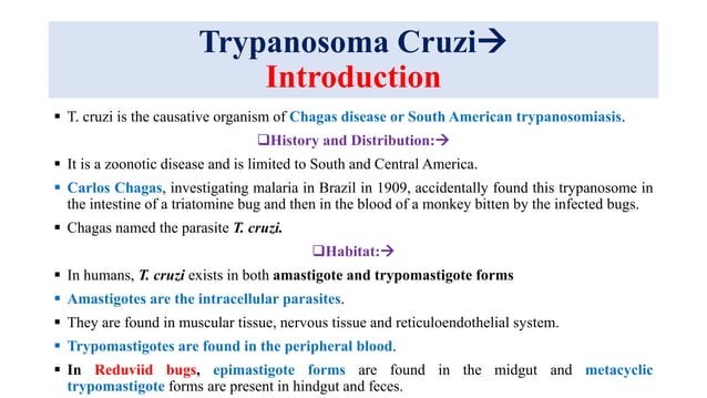 Trypanosoma | PPTX | Geography | Science