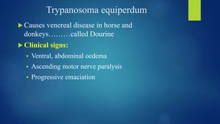 Trypanosoma | PPTX | Infectious Diseases | Diseases and Conditions