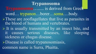 Trypanosoma | PPTX | Infectious Diseases | Diseases and Conditions