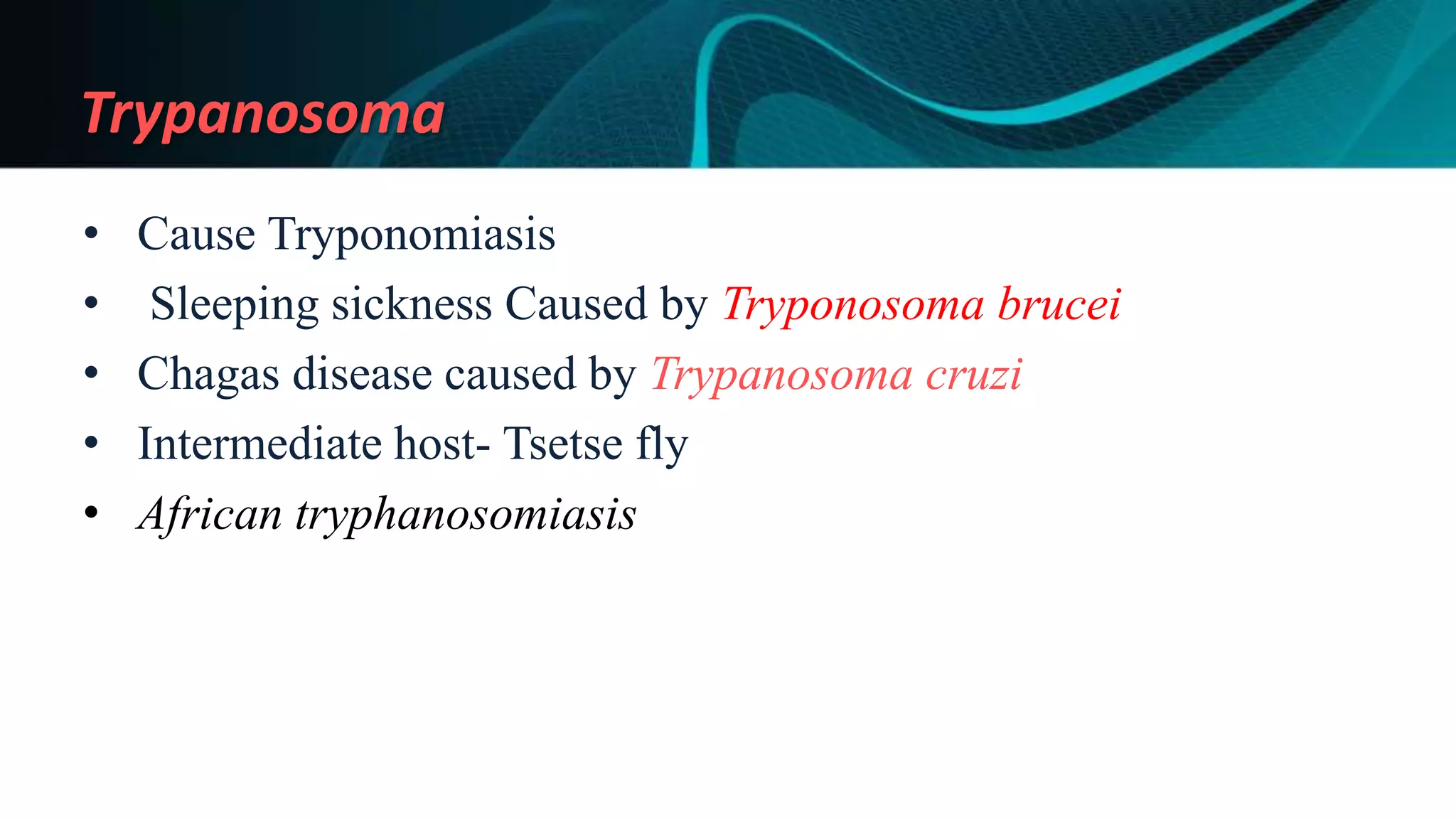 Trypanosoma.pptx