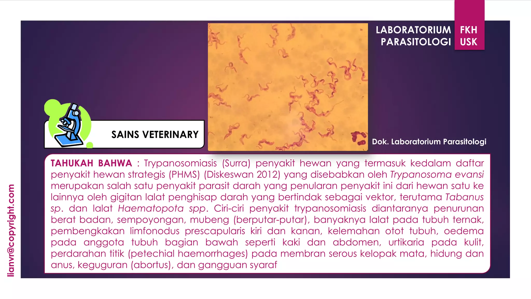 Trypanosoma.pdf