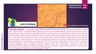 Trypanosoma.pdf