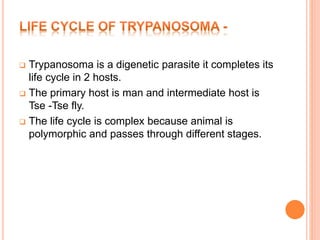 TRYPANOSOMA.pptx