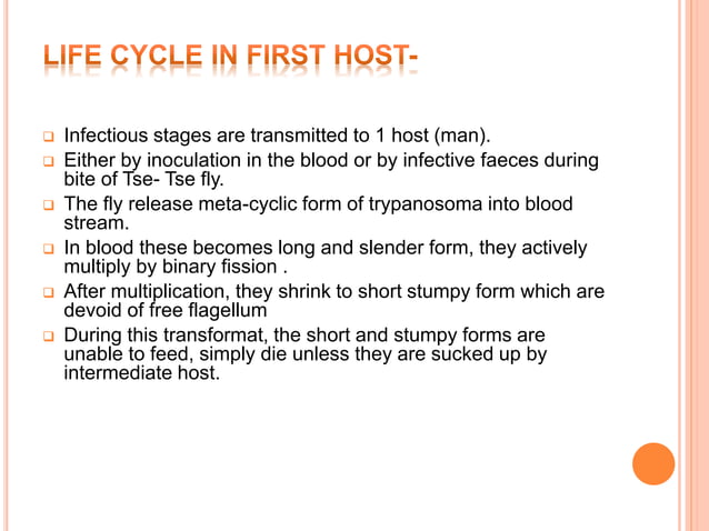 TRYPANOSOMA.pptx
