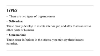 trypanosoma of parasitology for bio science | PPT