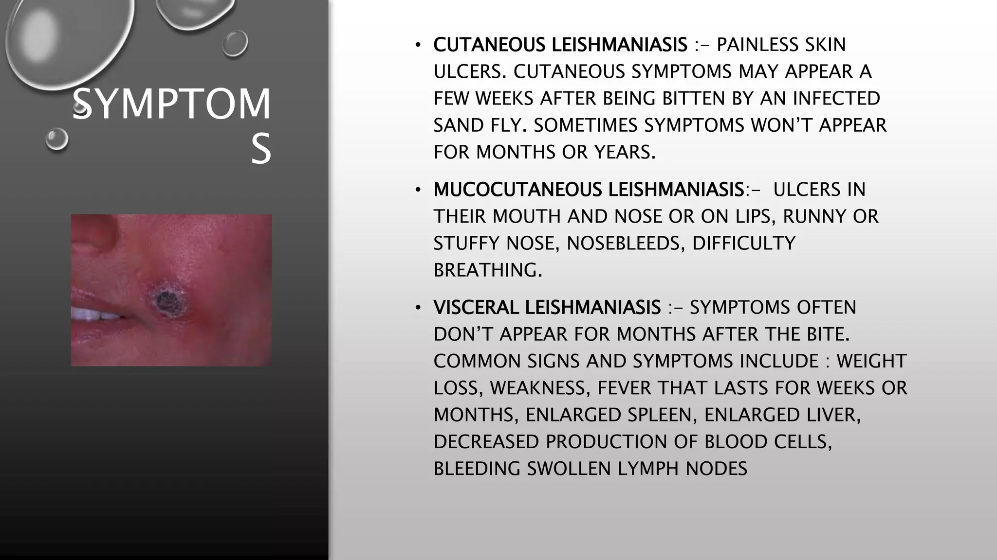 Trypanosoma and leishmania | PPTX