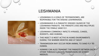 Trypanosoma and leishmania | PPTX