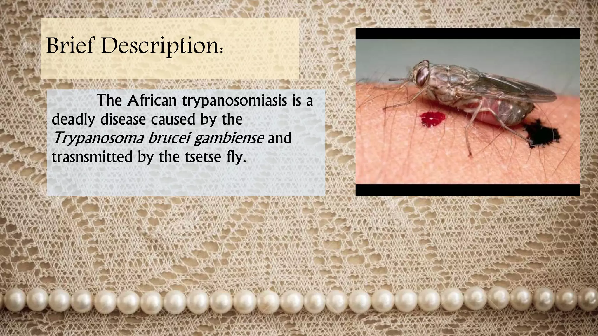 Trypanosoma brucei gambiense | PPTX