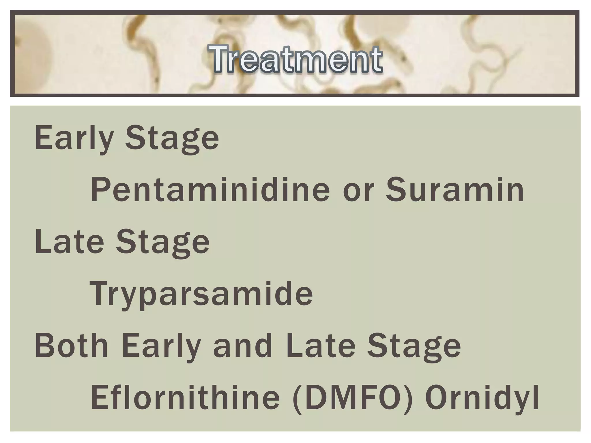 Trypanosoma brucei rhodesiense | PPTX