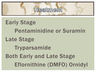 Trypanosoma brucei rhodesiense | PPTX