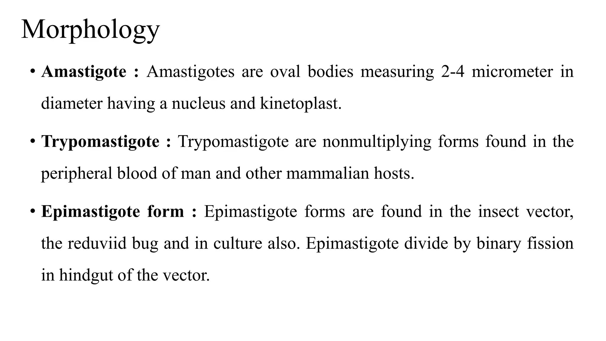 Trypanosoma cruzi(American Trypanosomiasis) | PPTX
