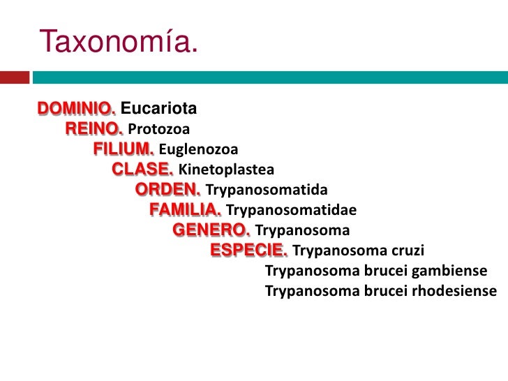 Trypanosoma expo
