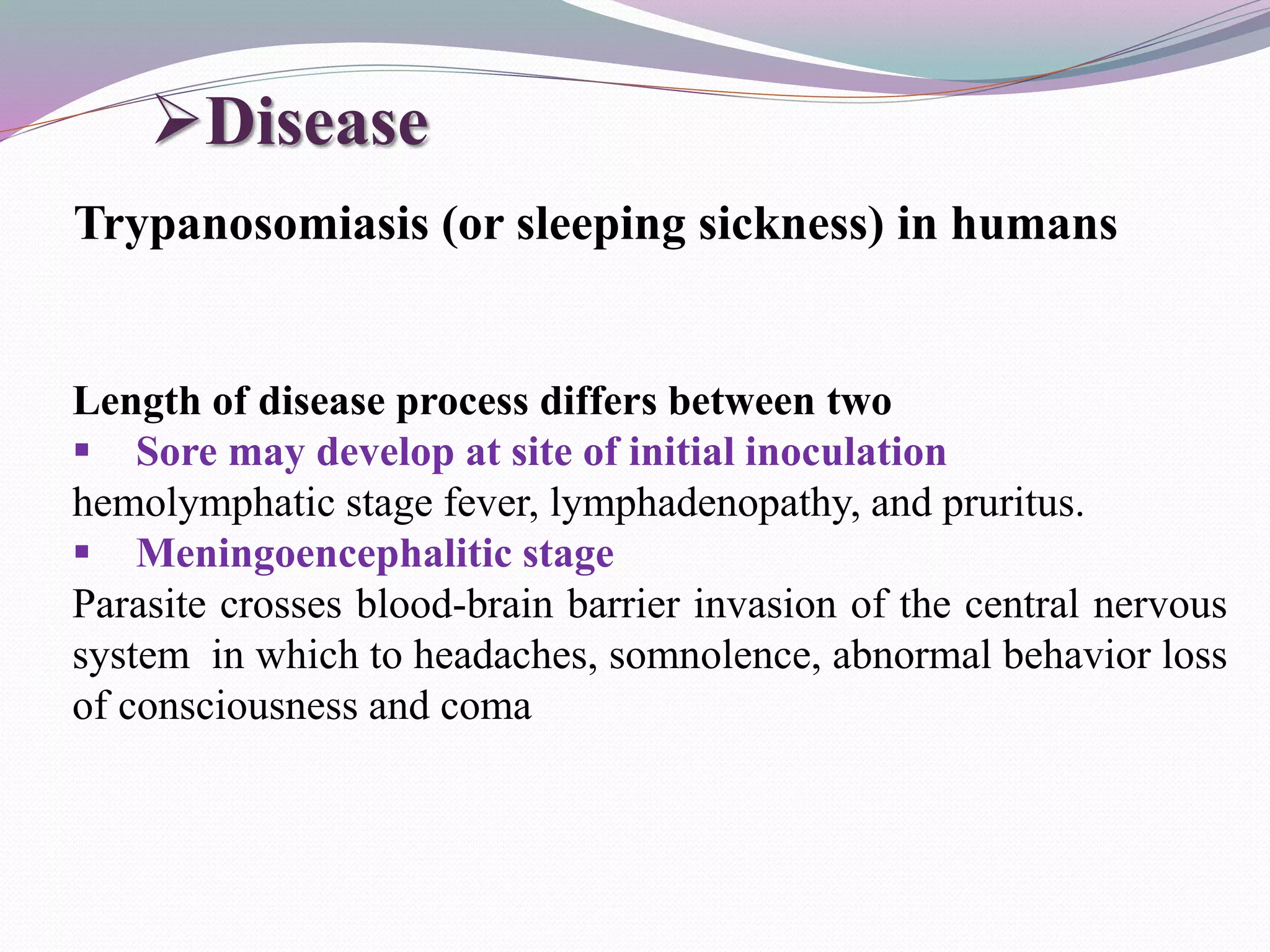 Trypanosoma parasite zeinab klaab | PPTX