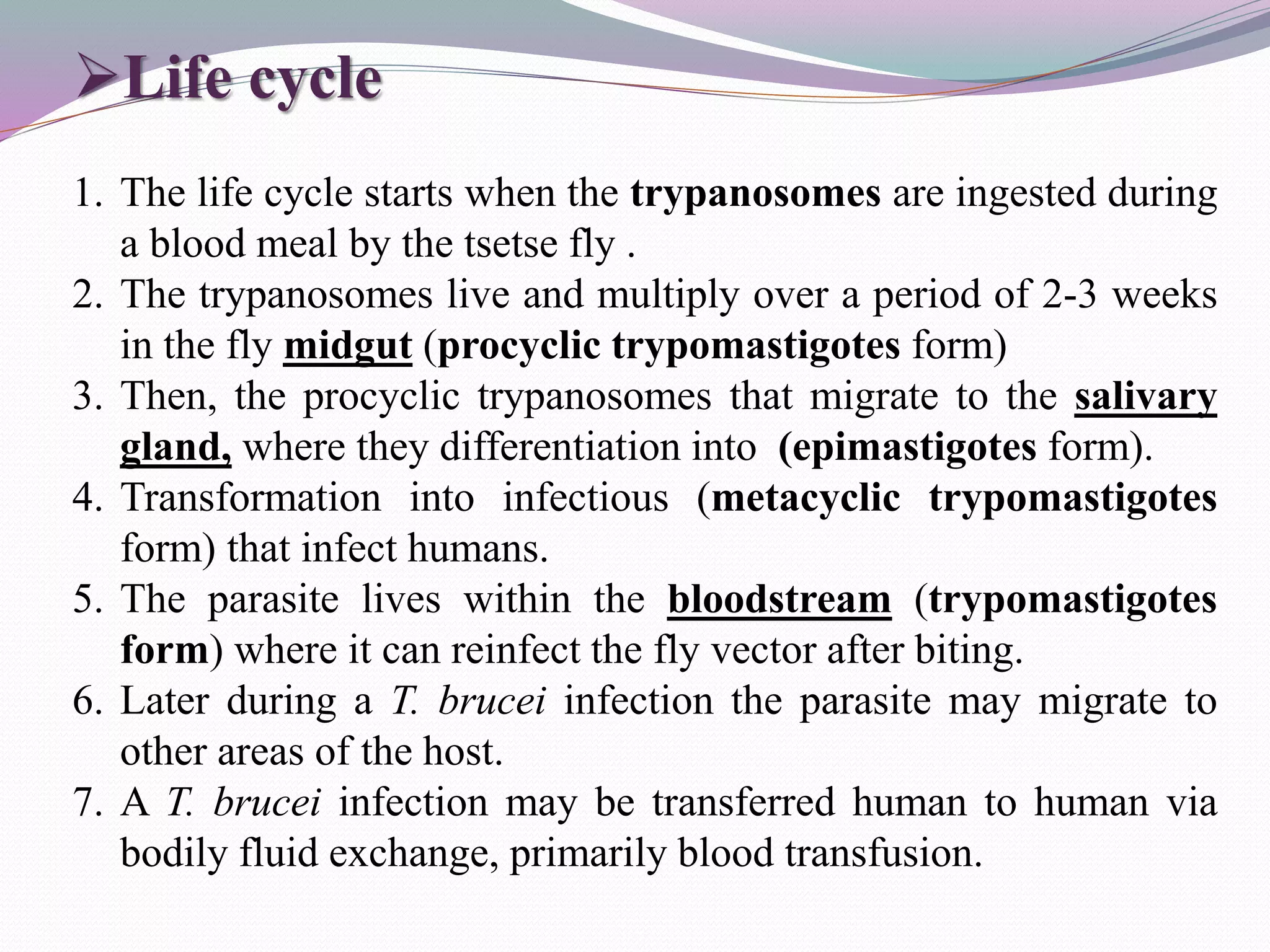 Trypanosoma parasite zeinab klaab | PPTX