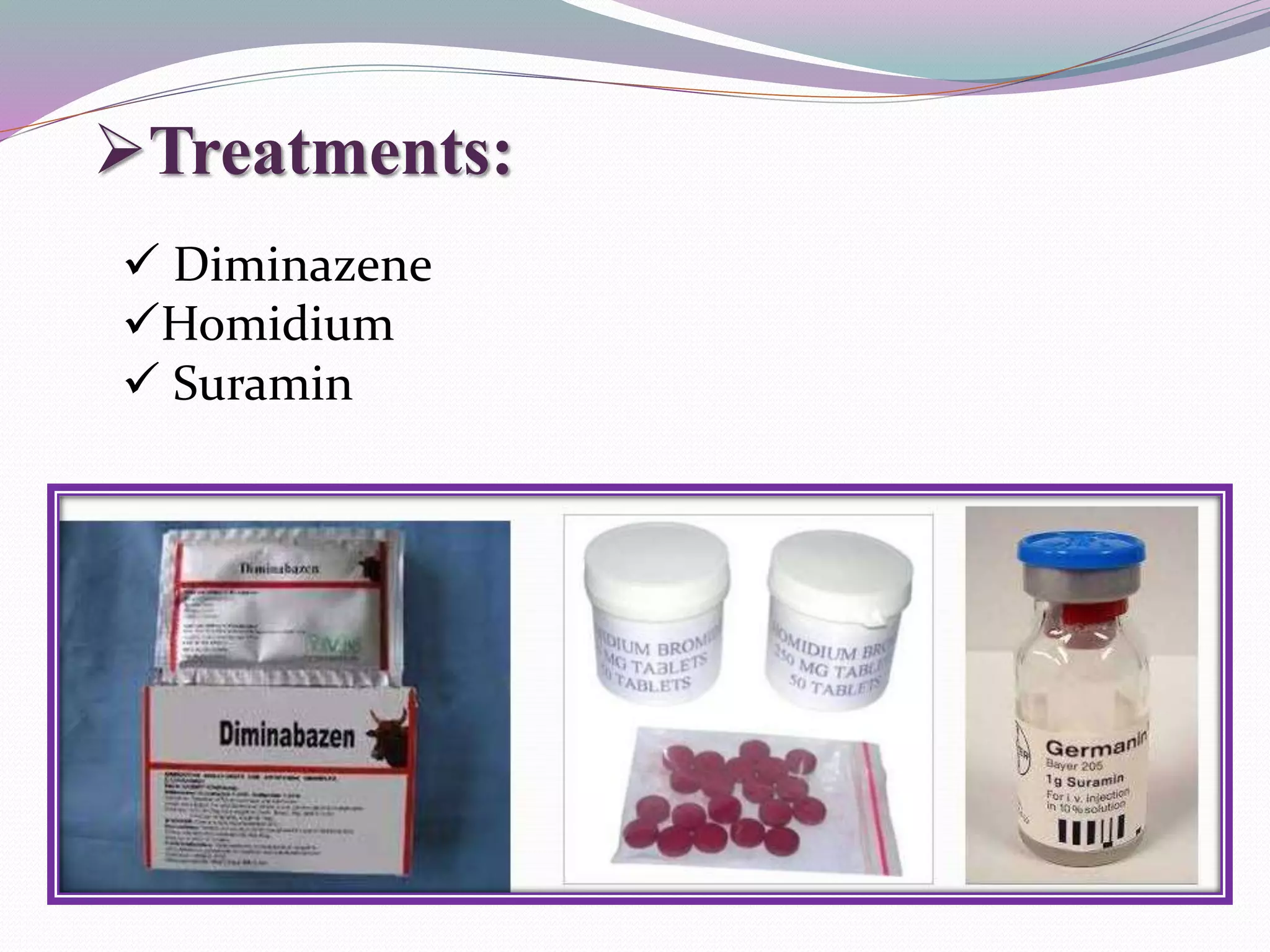 Trypanosoma parasite zeinab klaab | PPTX