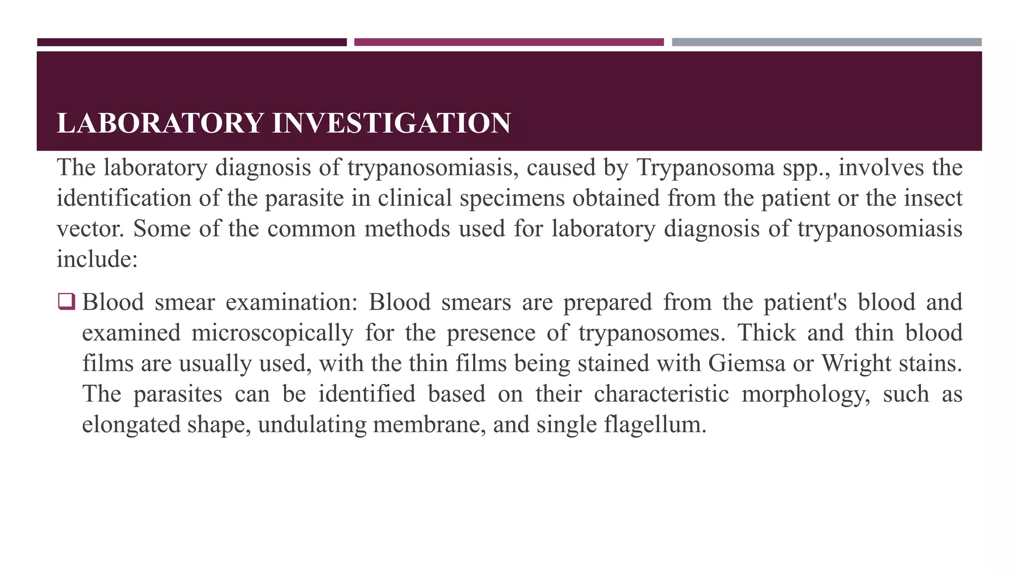 trypanosoma presentation.pptx