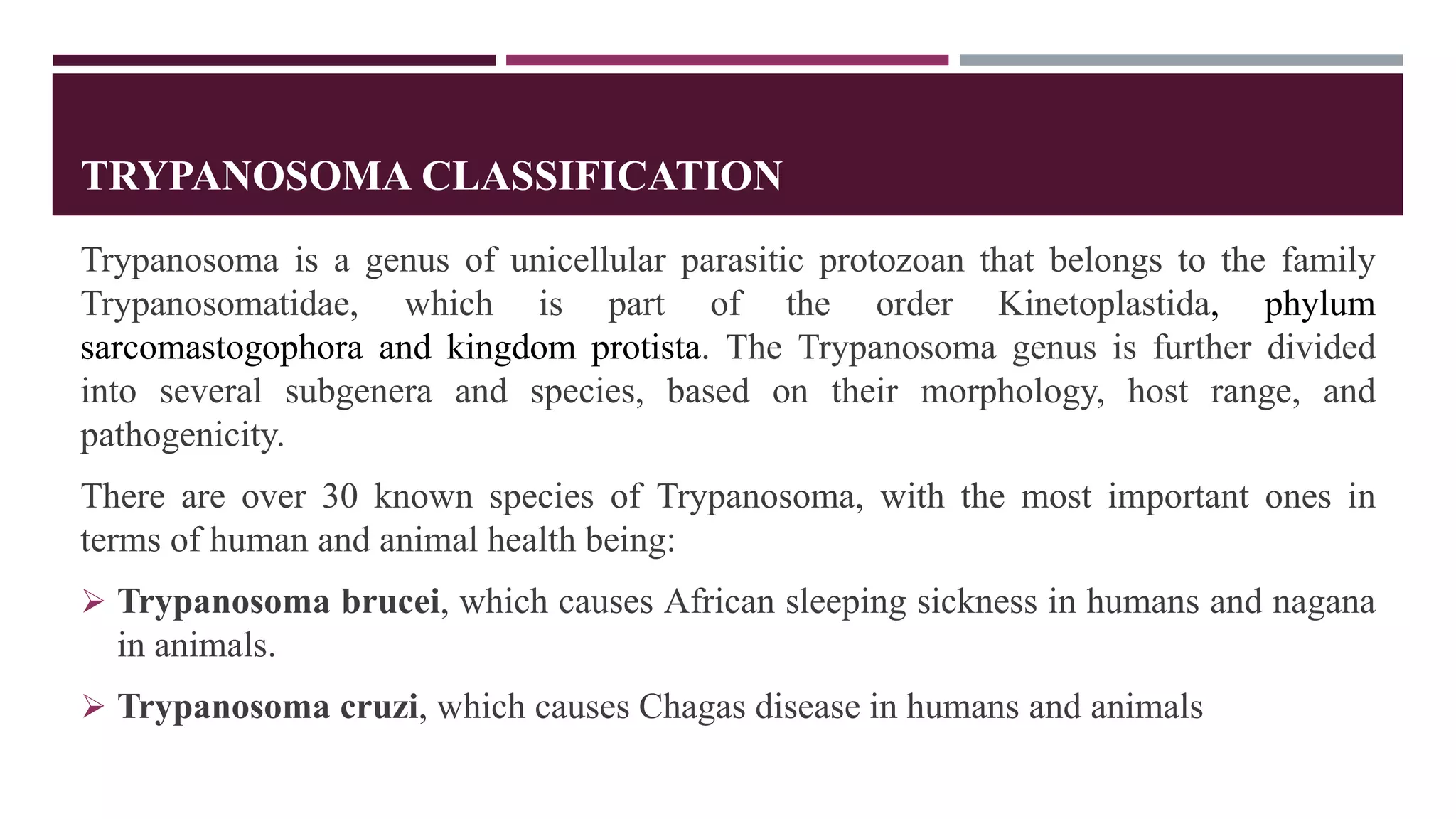trypanosoma presentation.pptx