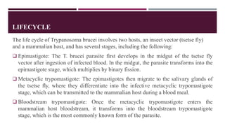 trypanosoma presentation.pptx