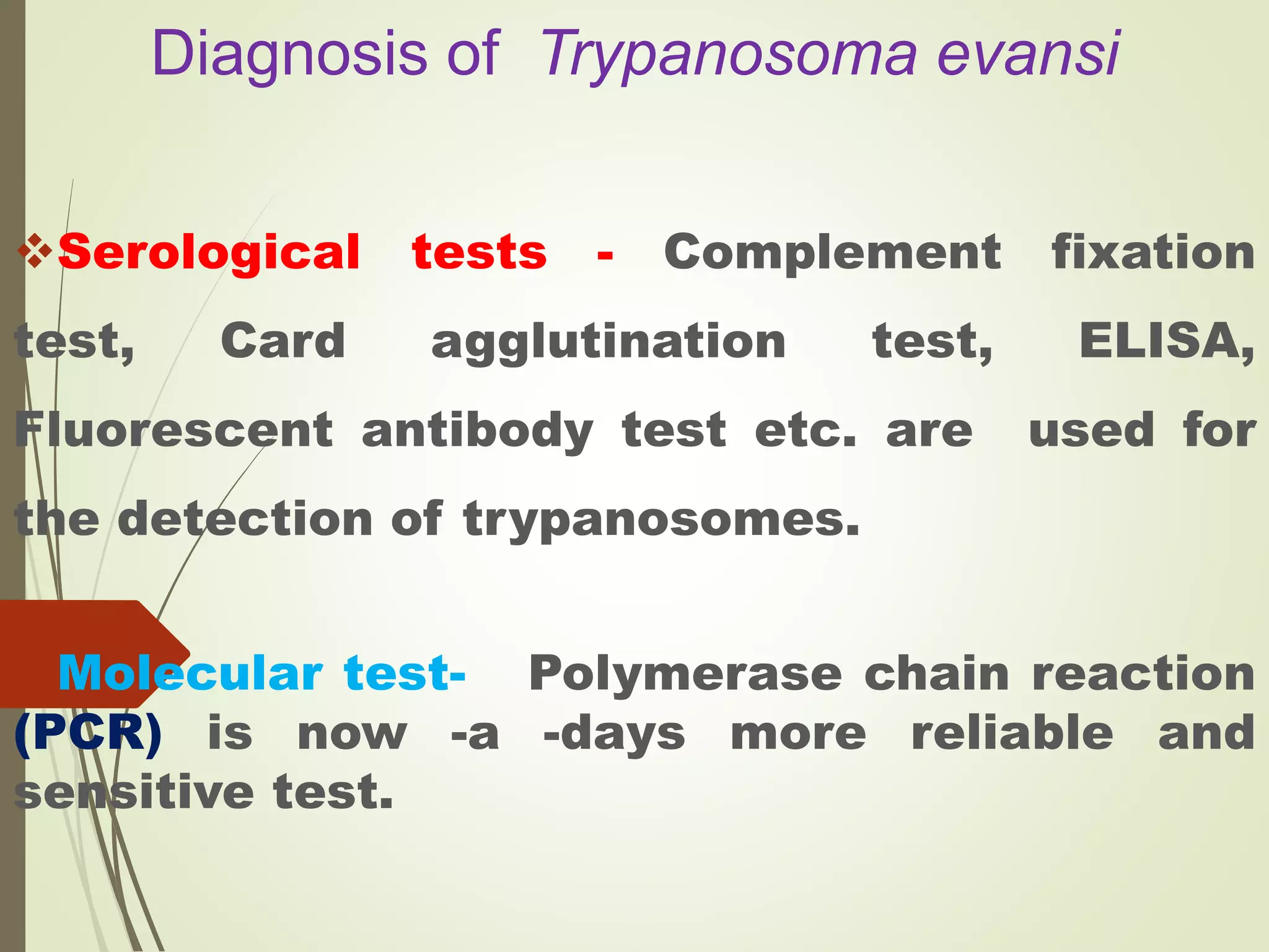 Trypanosomes.pptx