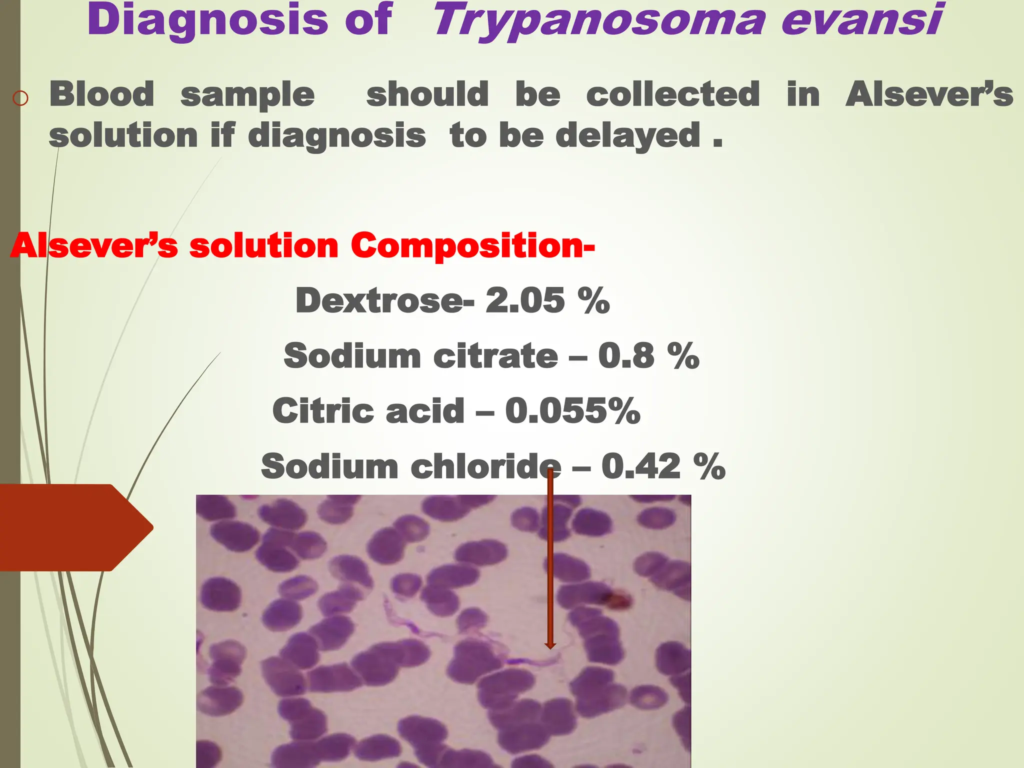 Veterinary medicine preventive Trypanosomes.pptx