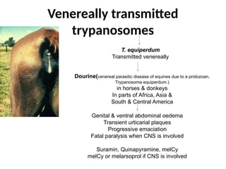 Trypanosomes- MLT.ppt which causes sleeping sickness and chagas disease ...