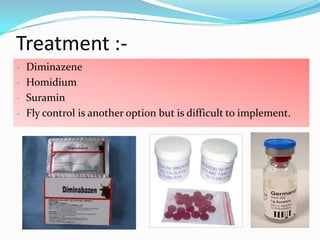 Trypanosomiasis | PPTX