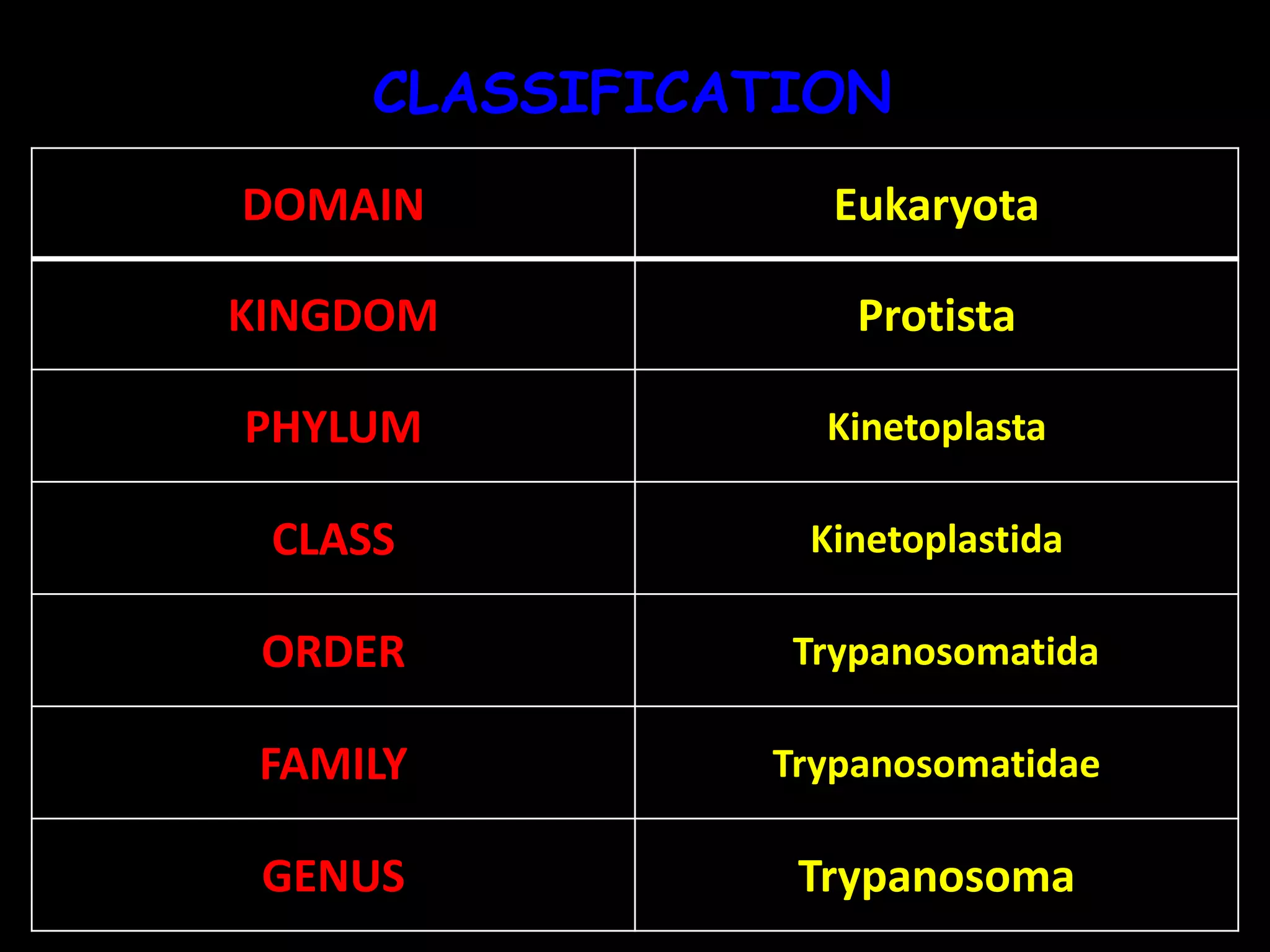 Trypanosomiasis | PDF