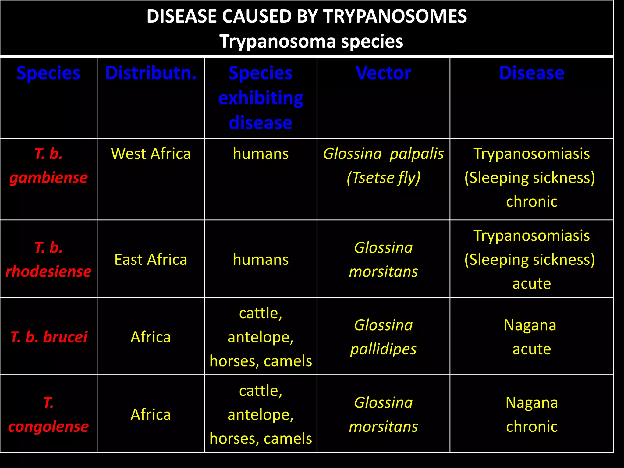 Trypanosomiasis | PDF