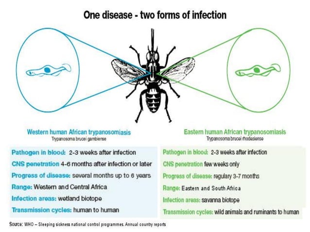 Trypanosomiasis | PDF | Africa Travel | Travel Locations